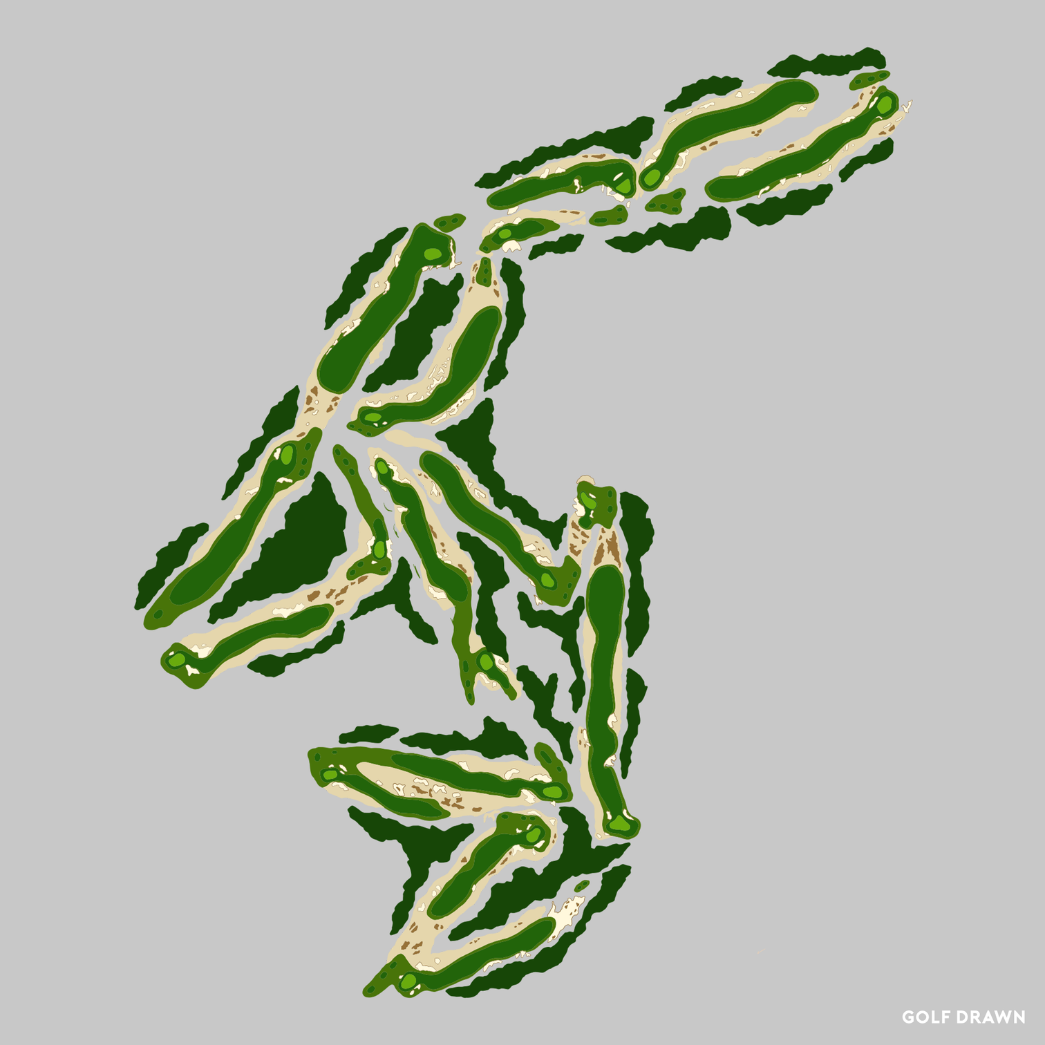 Pinehurst No. 2 – Golf Drawn